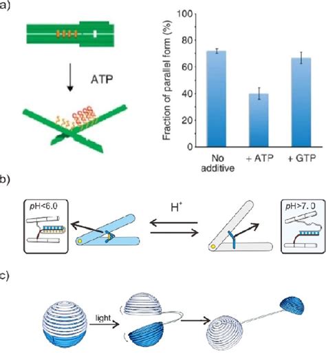Functional Nucleic Acids Actuation By Chemical Or Physical Cues A
