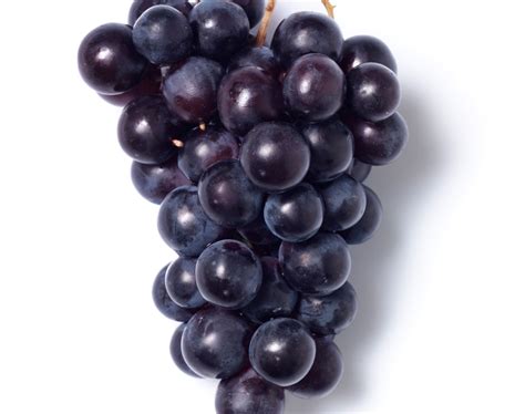 The Ultimate Guide To Beauty Ingredients - Moisturizers - Skin Care The ...