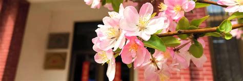 天津市分子光电科学重点实验室