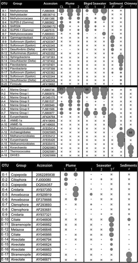 Abundance Of Ssu Rrna Transcripts For Bacterial Top Archaeal Download Scientific Diagram