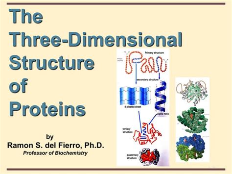 The Three Dimensional Structure Of Proteinspdf