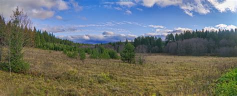 아름다운 푸른 하늘과 흰 구름을 배경으로 가을 풍경 푸른 초원 숲이 배경에 있습니다 0명에 대한 스톡 사진 및 기타 이미지 0명 경관 계절 Istock