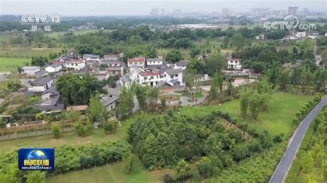 四川：特色产业点亮乡村经济我苏网