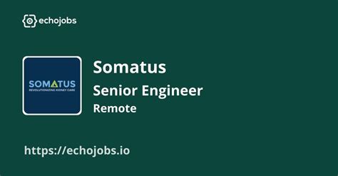 Somatus Is Hiring Senior Engineer Software Development Remote Aws Azure Gcp Nodejs Api Sql