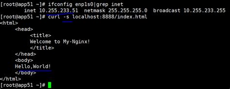 Docker 启动nginx，指定映射目录，启动后nginx不退出 Helloworld开发者社区