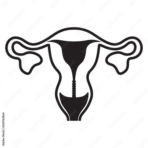 Female Reproductive Organ Icon Reproductive System Anatomy