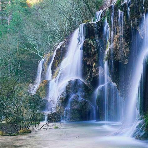 James Jonas David Youtube