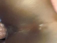 Wet Ass Pussy Porn Gif Pornhub Com Wet Ass Pussy Porn Gif Pornhub Com