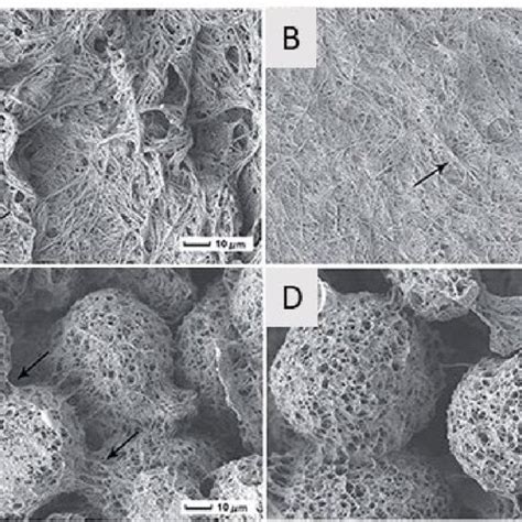 Schematic Of The Scaffold Based Tissue Engineering Approach Download Scientific Diagram