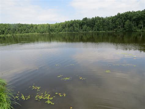 Карта особо охраняемых природных территорий Республики Беларусь Министерство природных