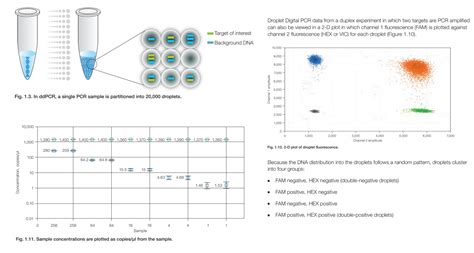 Digital Droplet Pcr Assay To Measure Aav Vector Dna