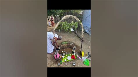 Shorts கிராமத்து மாட்டுப்பொங்கல்😃mattupongal Celebration Village Pongal Village Pongal Youtube