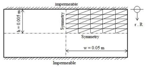 analyzed rectangular specimen with initial geometry and boundary