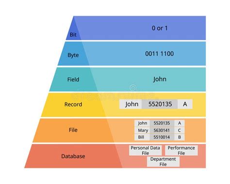 data hierarchy of bit byte field record file database stock vector