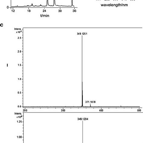 Screening And Verification Of Cpt Producing Endophytic Fungus Download Scientific Diagram