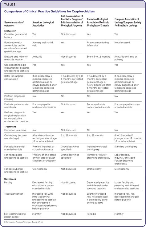 Cryptorchidism Undescended Testicle AAFP