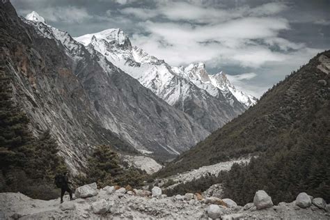 Hanol Mahasu Devta Temple Trekup India