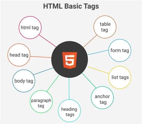 Dive To Most Using Html Tags Let S Dive Into The World Of Html Tags… By Shadhani Rushanthi