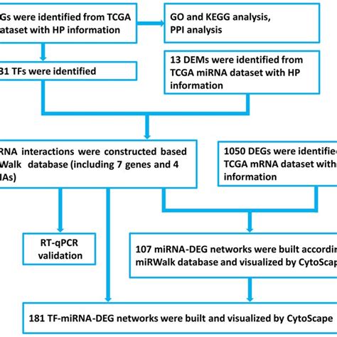 Flow Chart Of The Bioinformatics Analysis Process Deg Differentially Download Scientific