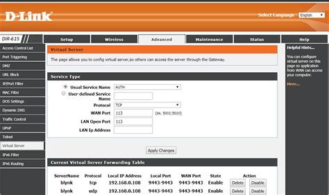 Port Forwarding With D Link DIR 615 Need Help With My Project Blynk Community
