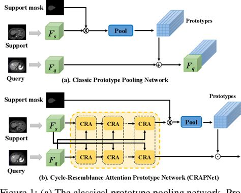 Figure 1 From Few Shot Medical Image Segmentation With Cycle Resemblance Attention Semantic