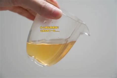 女性经期可以喝茶吗 姨妈期间适宜喝什么茶 适合姨妈期喝的茶 例假期间也可以的茶推荐 知乎