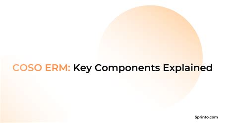 Coso Erm Framework 5 Key Components And How To Apply Them