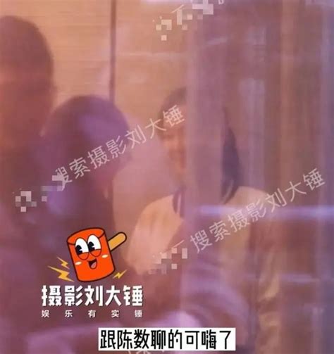 陈数夫妇出轨风波后同框 老公贴心照顾网传“第三者”现身 新浪图片