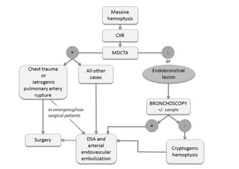 Emergency Medicine Educationhemoptysis Key Principles And
