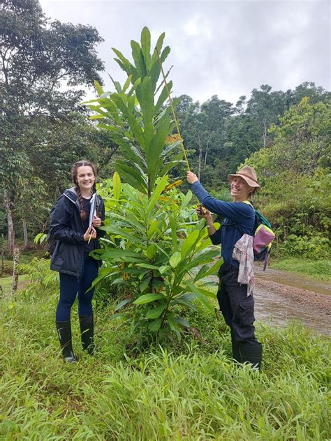 Corcovado Foundation Costa Rica
