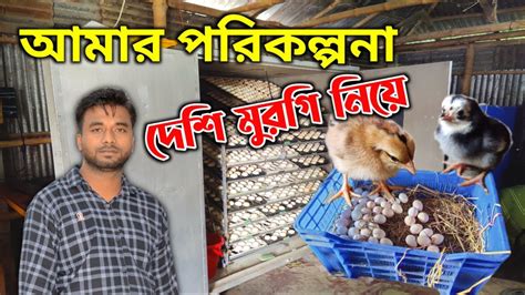 দেশি মুরগির হ্যাচারিতে আমি কি করবো ।। দেশি মুরগির ডিম থেকে বাচ্চা উৎপাদন ।। মায়া বাংলা Bd Youtube