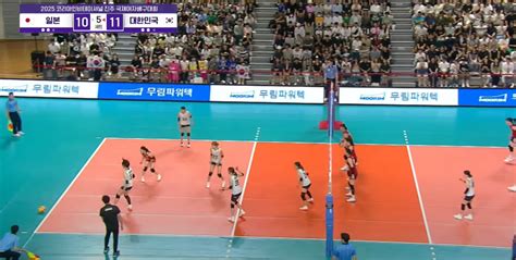 방금 끝난 여자배구 한일전 판정 모음  포텐 터짐 화제순 에펨코리아