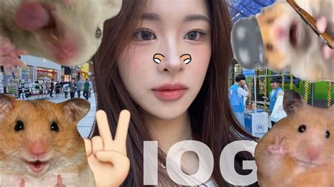 갓생vlog Mz여자의 갓생챌린지 Isfp25세 여자갓생챌린지디지털노마드자기개발자기괴발괴발세발 Youtube