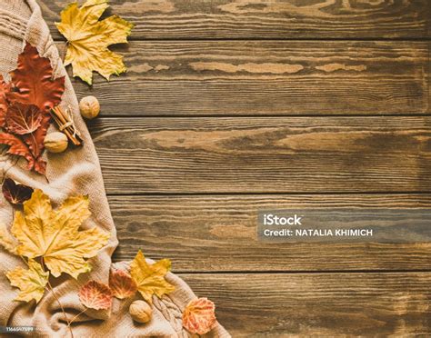 가을 노란 마른 잎 너트 계피 스틱 니트 스카프 나무 세 배경 공간을 복사합니다 가을 컨셉 엽서 0명에 대한 스톡 사진 및 기타 이미지 Istock