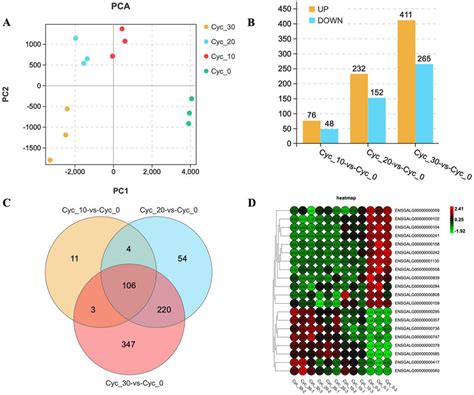 Overview Of Mrna Sequencing A Principal Component Analysis For Each Download Scientific