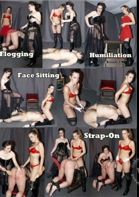 Lick Harder By Lakeview Entertainment HotMovies