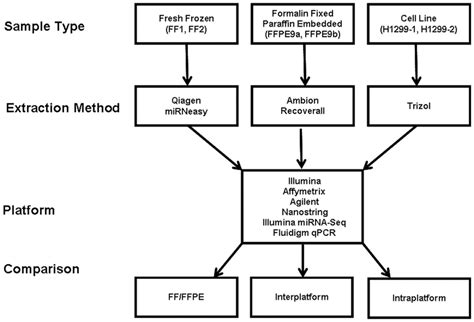 Experimental Design Of The Mirna Expression Platform Comparison Rna Download Scientific