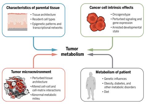 Science综述 癌症代谢重编程与癌症的发展 知乎