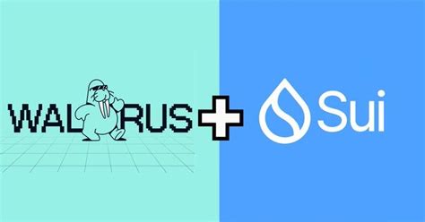 Walrus Sui:如何充分发挥web3的潜力walrus Sui Csdn博客 Walrus Sui:如何充分发挥web3的潜力walrus Sui Csdn博客