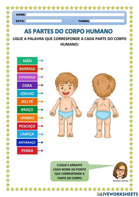 As Partes Do Corpo Humano Worksheet Live Worksheets