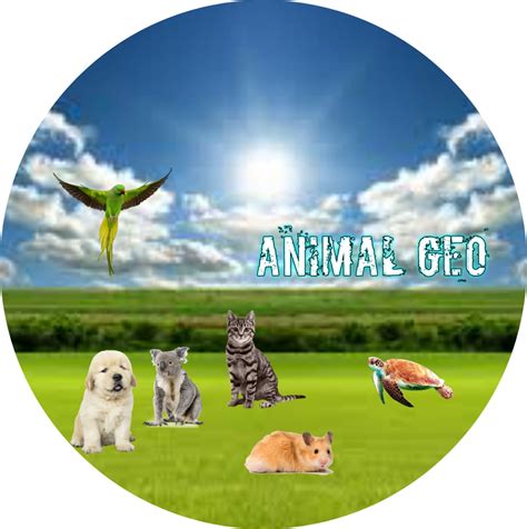 ლეკვები