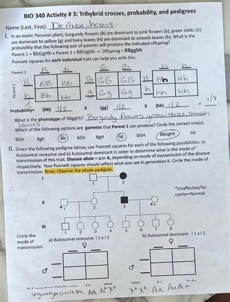 [solved] Bio 340 Activity 3 Trihybrid Crosses Probab