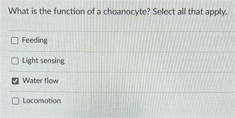 Solved What Is The Function Of A Choanocyte Select All That