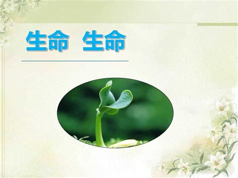 小学语文课件8 19 生命 生命2word文档在线阅读与下载免费文档
