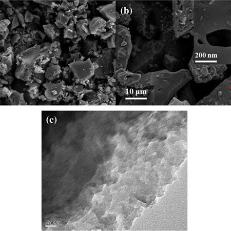 Sem Image Of Peanut Shell After Carbonization A Oxidized Activated Download Scientific