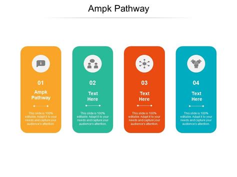 Ampk Pathway Ppt Powerpoint Presentation Outline Model Cpb Presentation Graphics