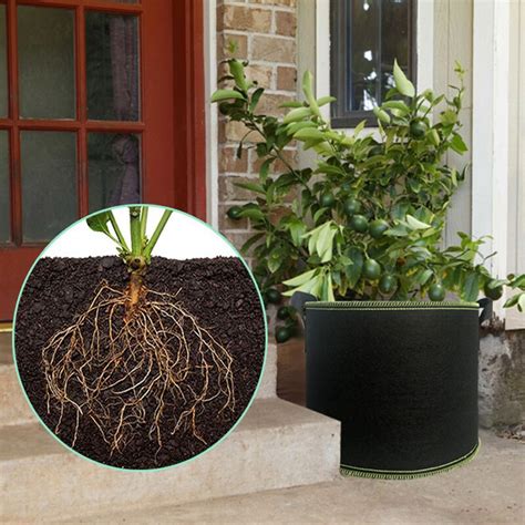 1Pcs Planten Bag Verdikte Planting Zak Non Woven V Grandado