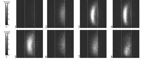 2d Scans Of Temporal Development Of Discharge Constriction Labels 1 8