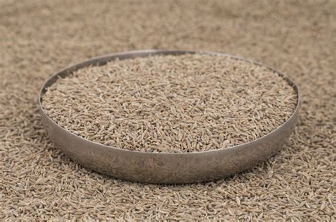 Jira Images Browse 656 Stock Photos Vectors And Video Adobe Stock