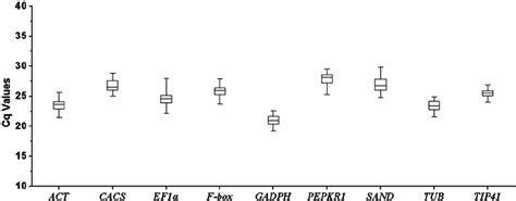 The Quantification Cycle Cq Values Of The Candidate Reference Genes